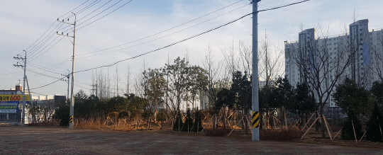 광양시, 미세먼지 차단숲 조성 앞장