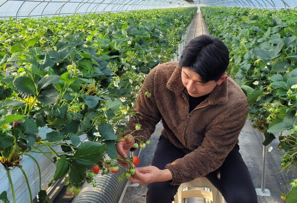 전남도, 친환경농산물 계약재배 청년농가 육성 박차