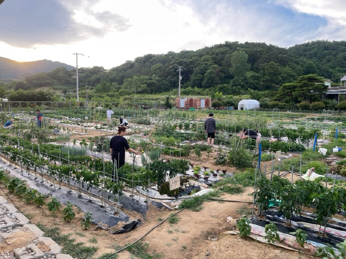 화순군, ‘가족과 함께’ 농촌이음텃밭 참여자 모집